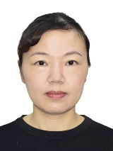 Our Teaching Team - Institute of Systems Science