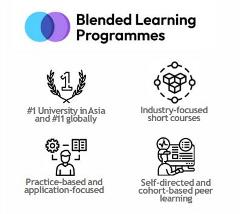 Interactive and Personalised : NUS-ISS Blended Learning Programmes